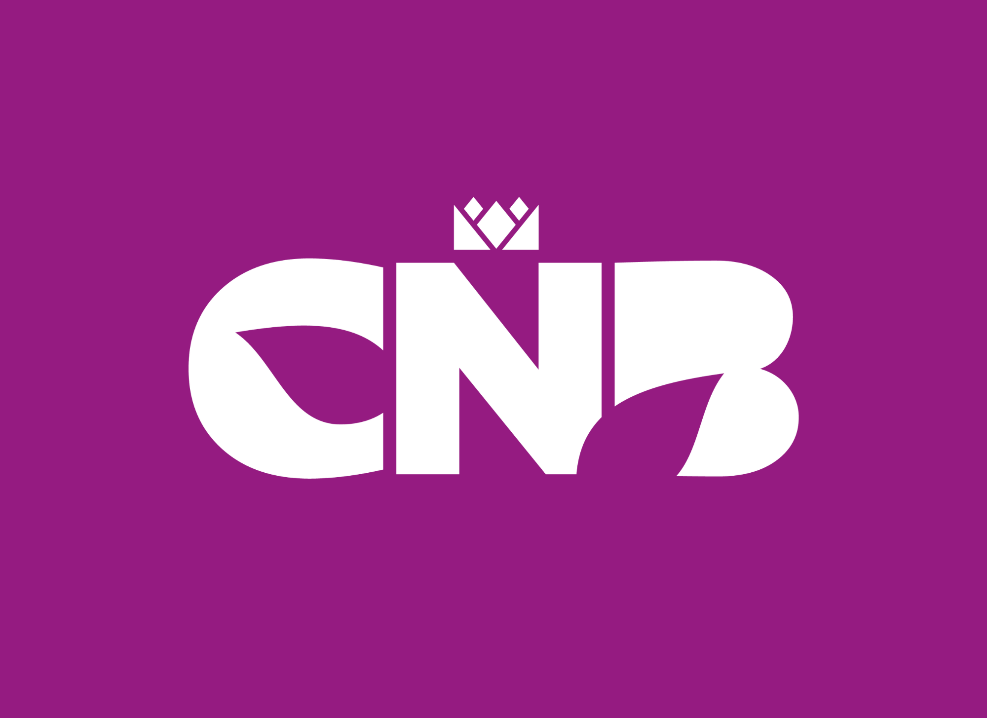 CNB.nl | Afwezigheid Leo van Leeuwen